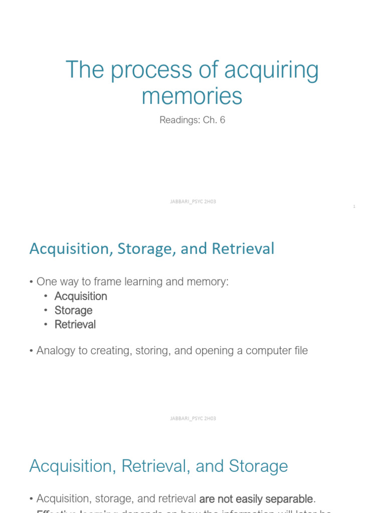 Memory 1 | PDF | Recall (Memory) | Brain