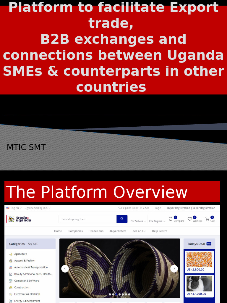 B2b Platform Overview | PDF