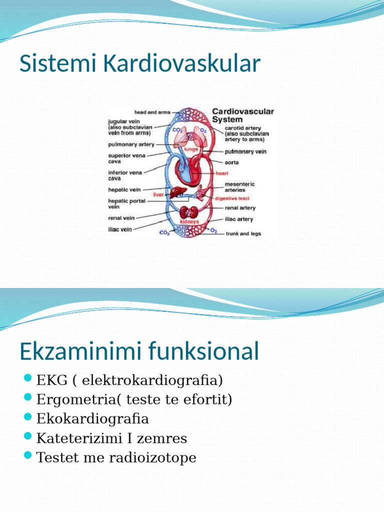 Sistemi Kardiovaskular - Studentet (Autosaved) | PDF
