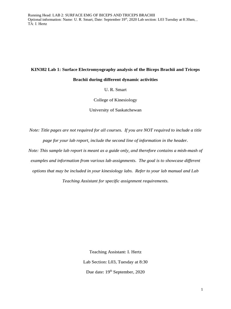 Lab Report Example. docx | PDF | Electromyography