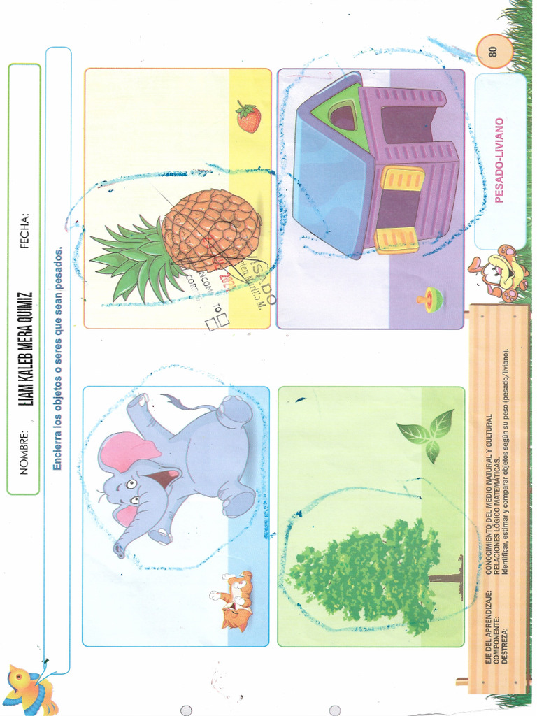 Pesado - Liviano | PDF