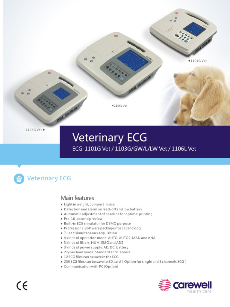 Carewell Ecg | PDF