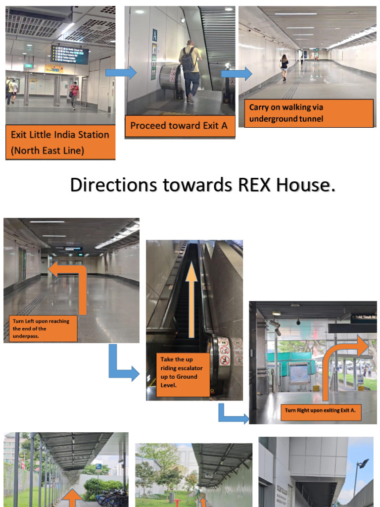 Guide To REX House | PDF