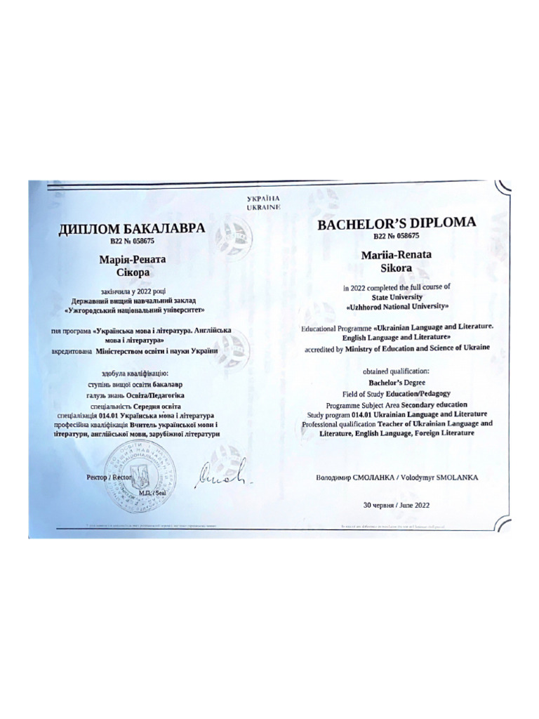 Bachelor's Diploma | PDF