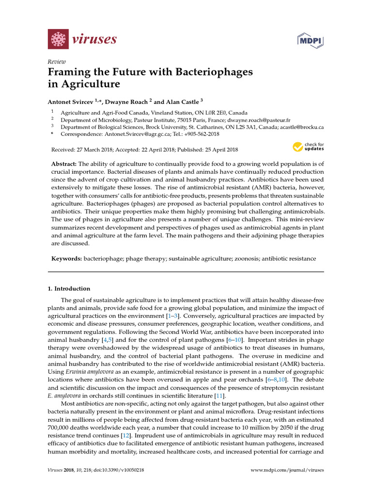 Framing the Future with Bacteriophages | PDF | Antimicrobial Resistance | Bacteriophage