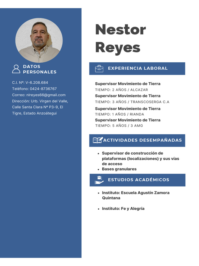 Currículum Vitae Nestor Reyes | PDF
