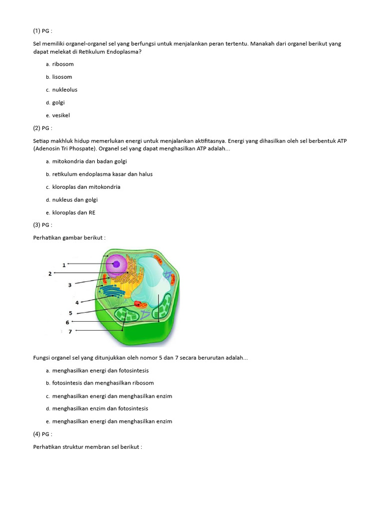 Latihan Soal SAS Bio XI | PDF