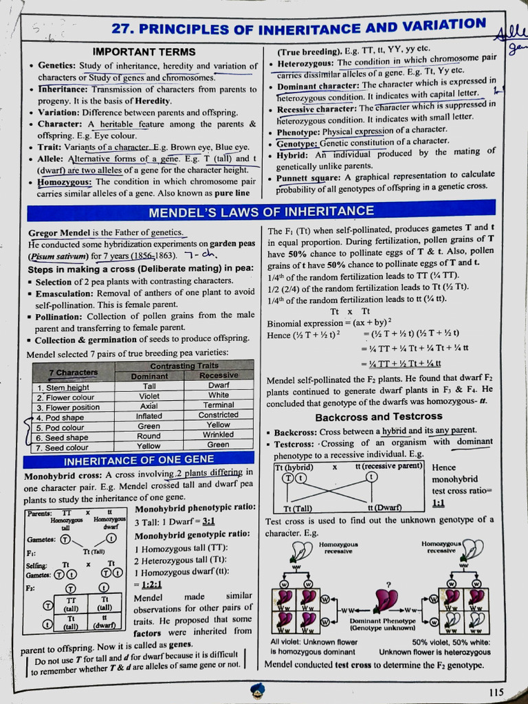 Principles of Inheritance and Variation | PDF
