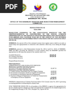 Bpoc Resolution | PDF | Government | Justice