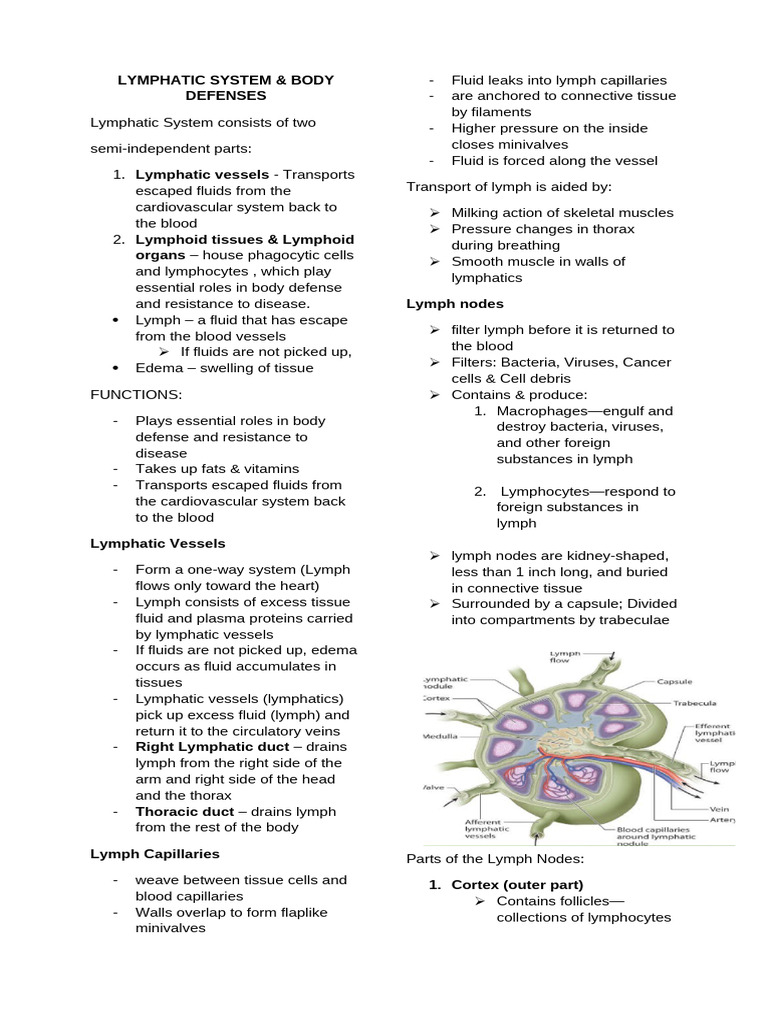 Lymphatic System | PDF | Lymphatic System | Lymph
