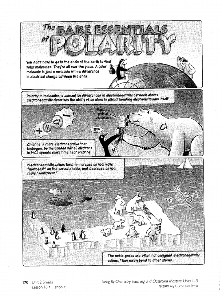 Polarity Cartoon - Polar Bears | PDF
