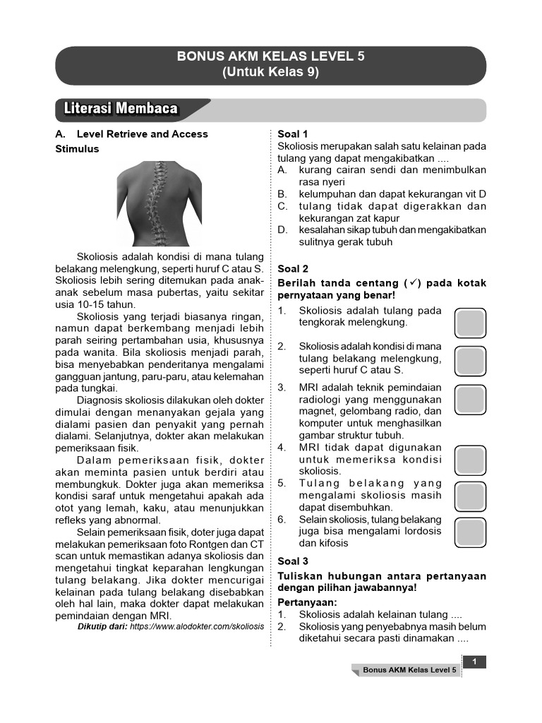 AKM Kelas Level 5 | PDF