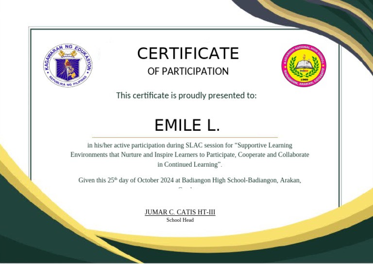 SLAC Participation Certificate for Emile L. | PDF
