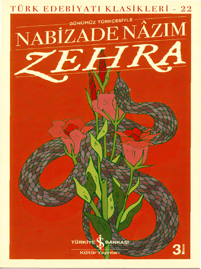 Nabizade Nazım Zehra | PDF