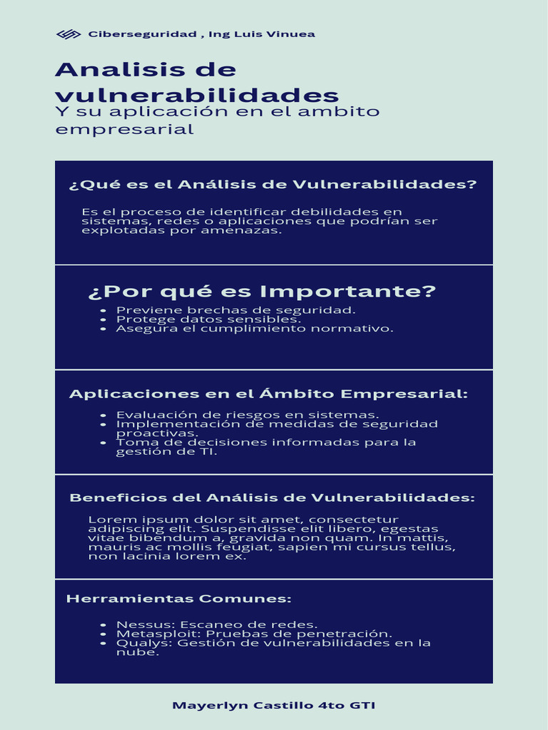 1.infografía Analisis de Vulnerabilidades | PDF