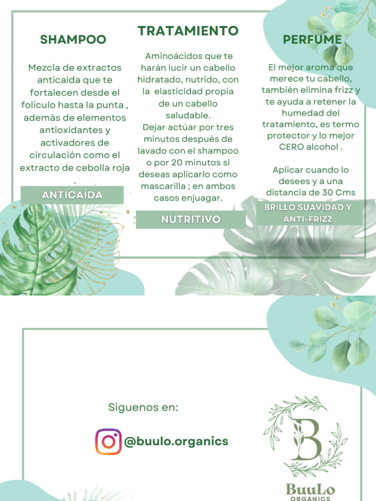 FOLLETO BUULO KITS | PDF