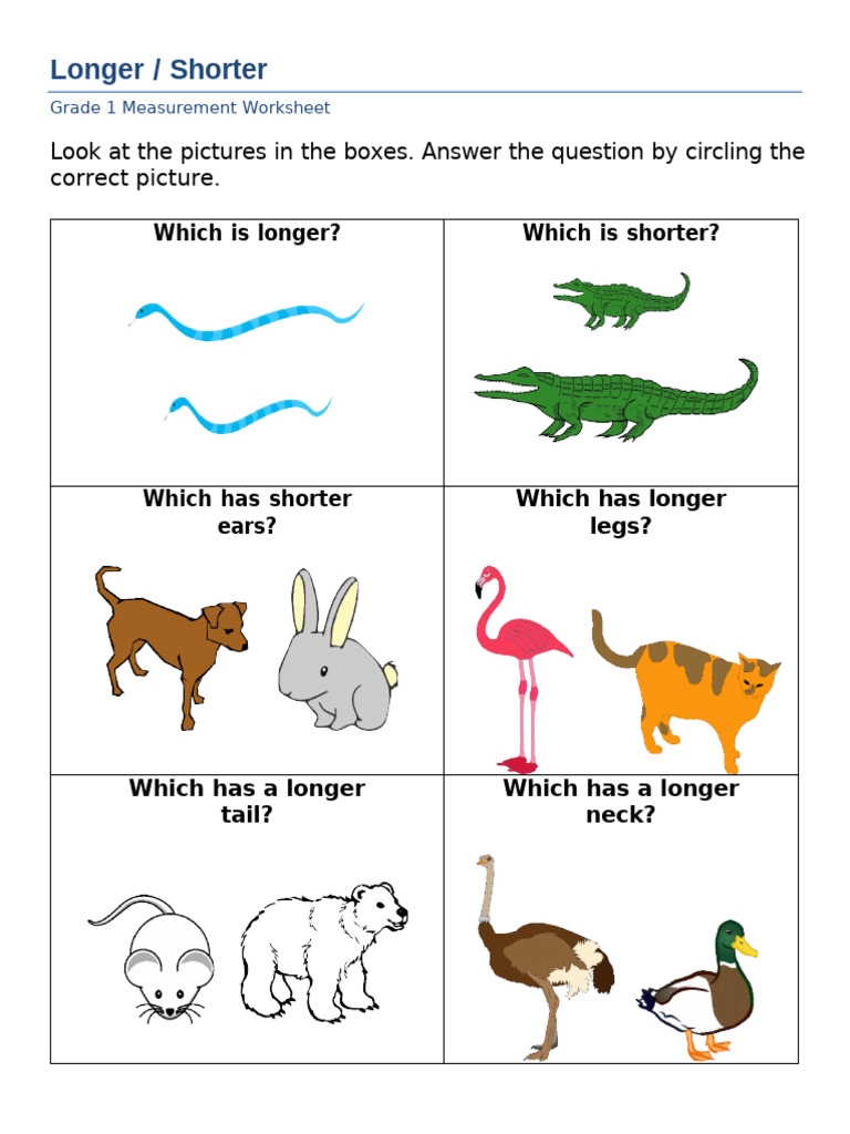 Grade 1 Measurement Longer Shorter A | PDF