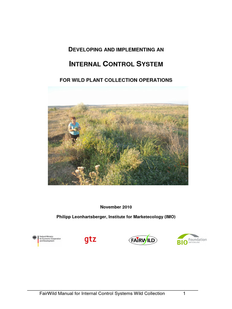 IMO Manual For Internal Control System | PDF | Risk | Internal Control