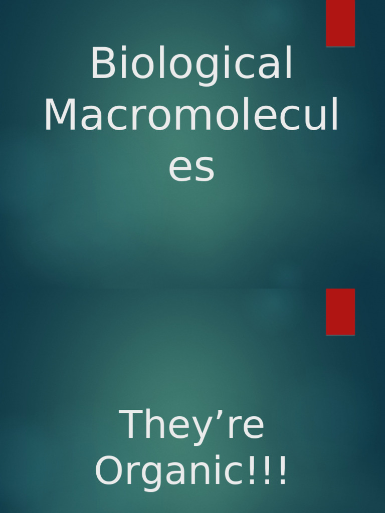The Biological Macro Molecules | PDF | Proteins | Macromolecules