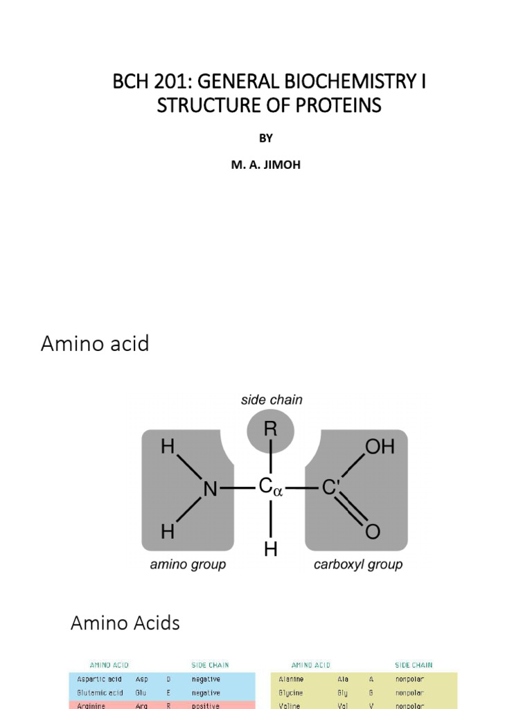 BCH 201(STRUCTURE OF PROTEINS) | PDF | Beta Sheet | Protein Structure
