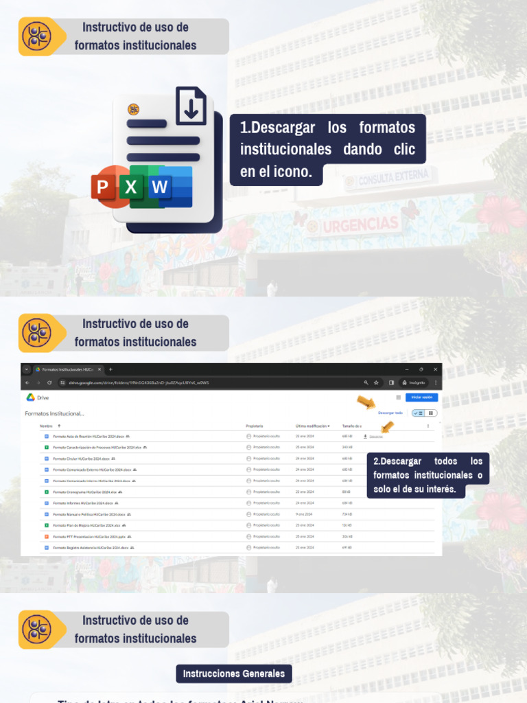 Instructivo Formatos Institucionales HUCaribe 2024 | PDF