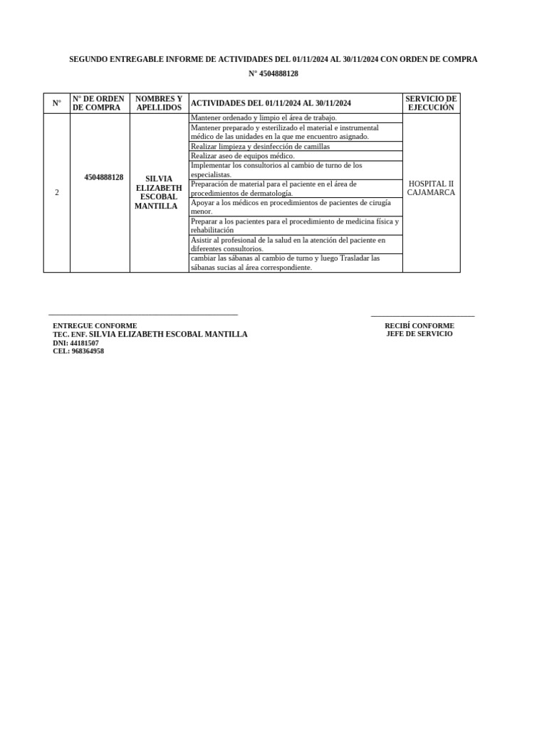 SEGUNDO ENTREGABLE MES DE NOVIEMBRE 2024 | PDF