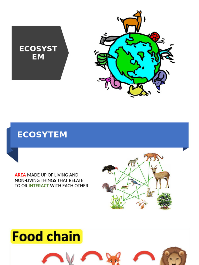 ECOSYSTEM | PDF