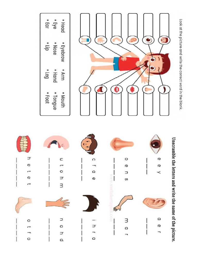 Part of Body | PDF