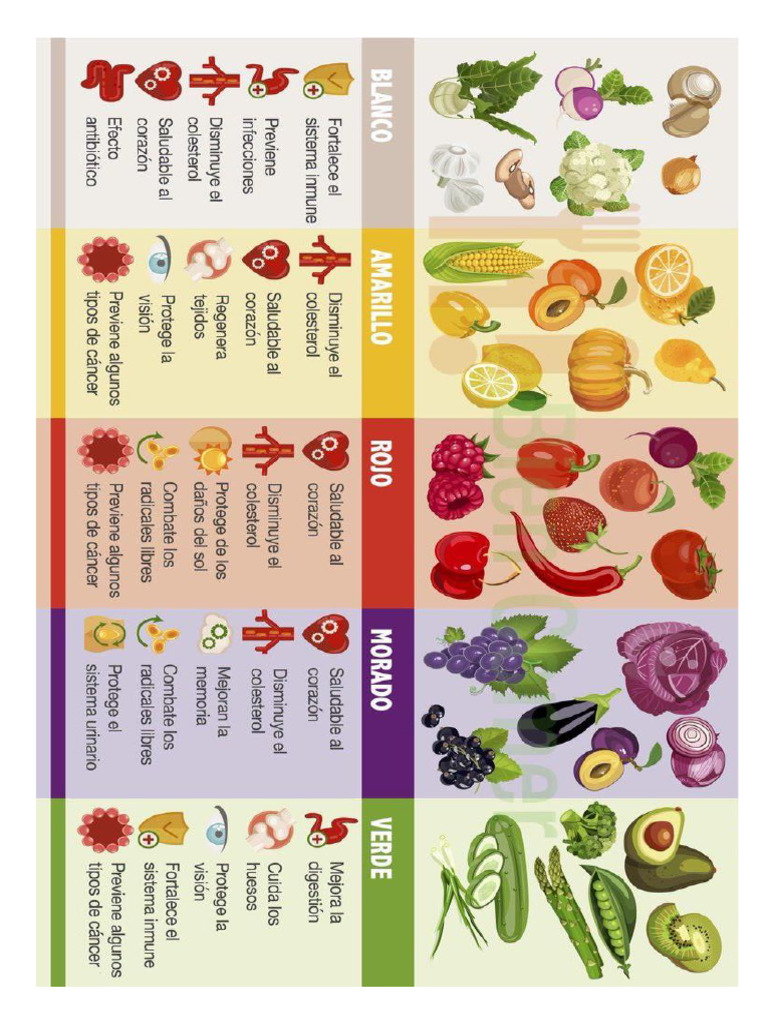 COLORES ALIMENTOS | PDF