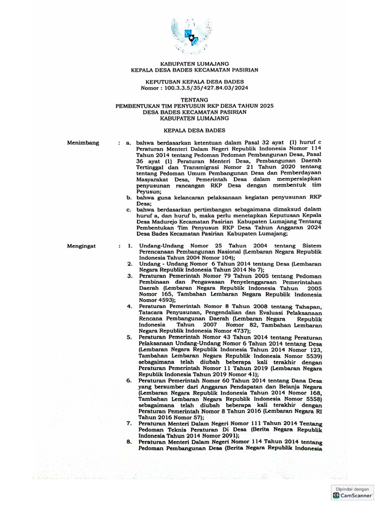 SK Tim Penyusunan RKP 2025 | PDF