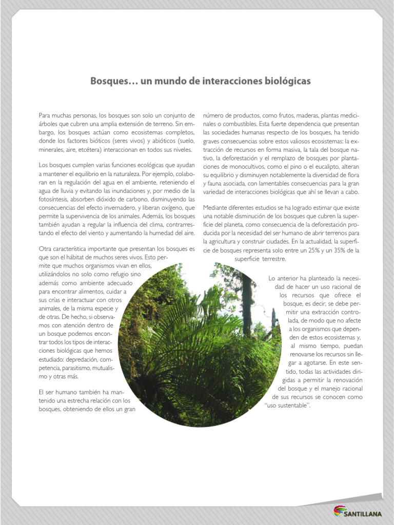 Bosques Un Mundo de Interacciones Biológicas | PDF | Los bosques ...