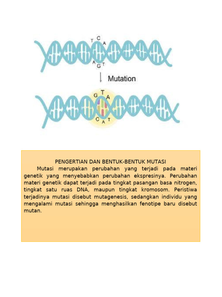 Jenis dan Mekanisme Mutasi Gen | PDF