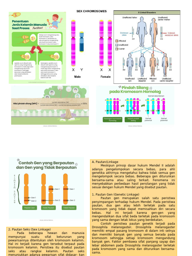 Pautan Gen dan Pindah Silang dalam Genetika | PDF