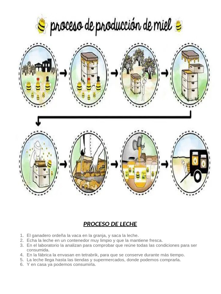 Proceso de Miel | PDF