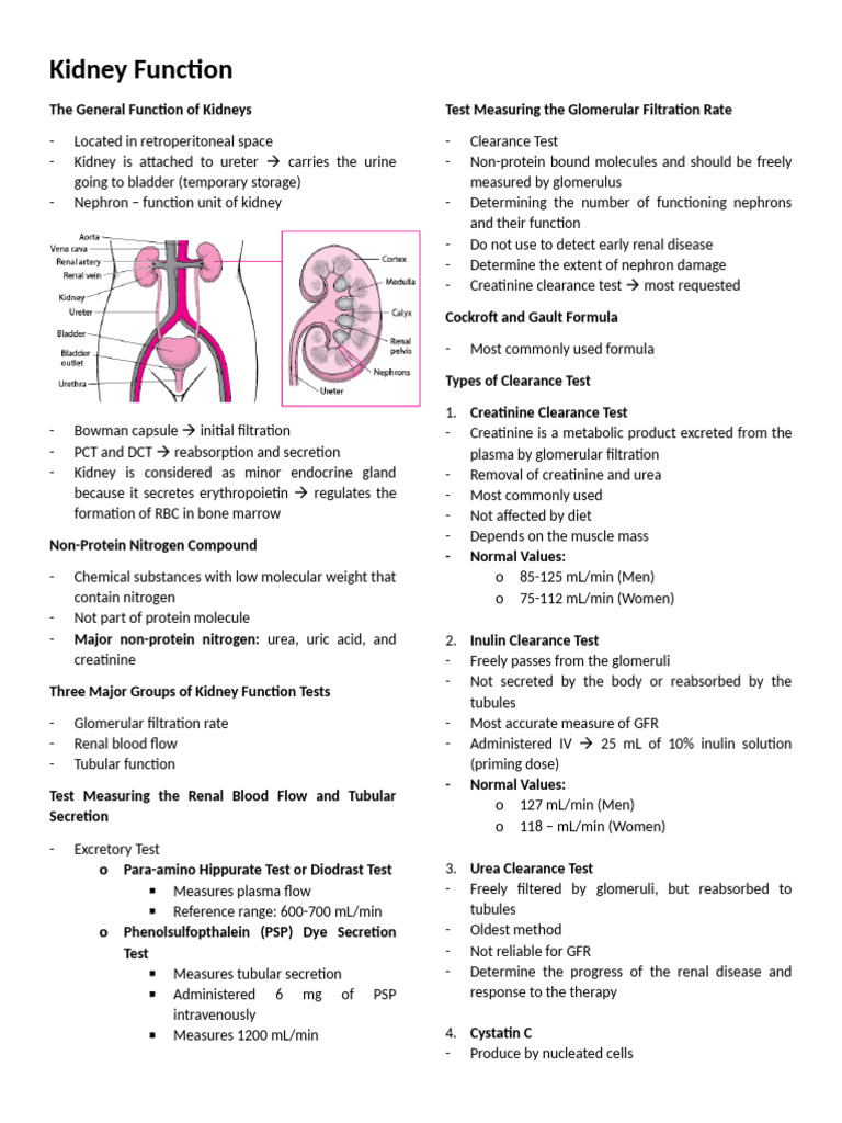 Clutch Reviewer - CC - Kidney Functions - Notes | PDF | Kidney | Creatinine