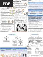 Lca e LCP | PDF | Imagem de ressonância magnética | Joelho