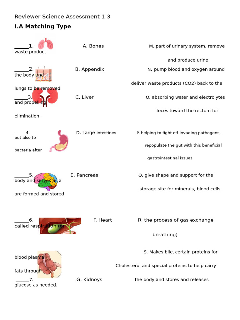 Reviewer Science Assessment 1.3 | PDF | Human Body | Nervous System