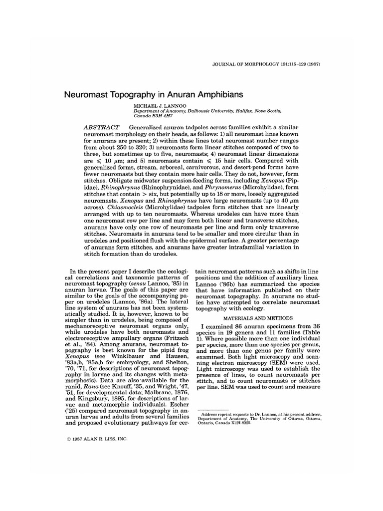 Neuromasts Tadpoles | PDF