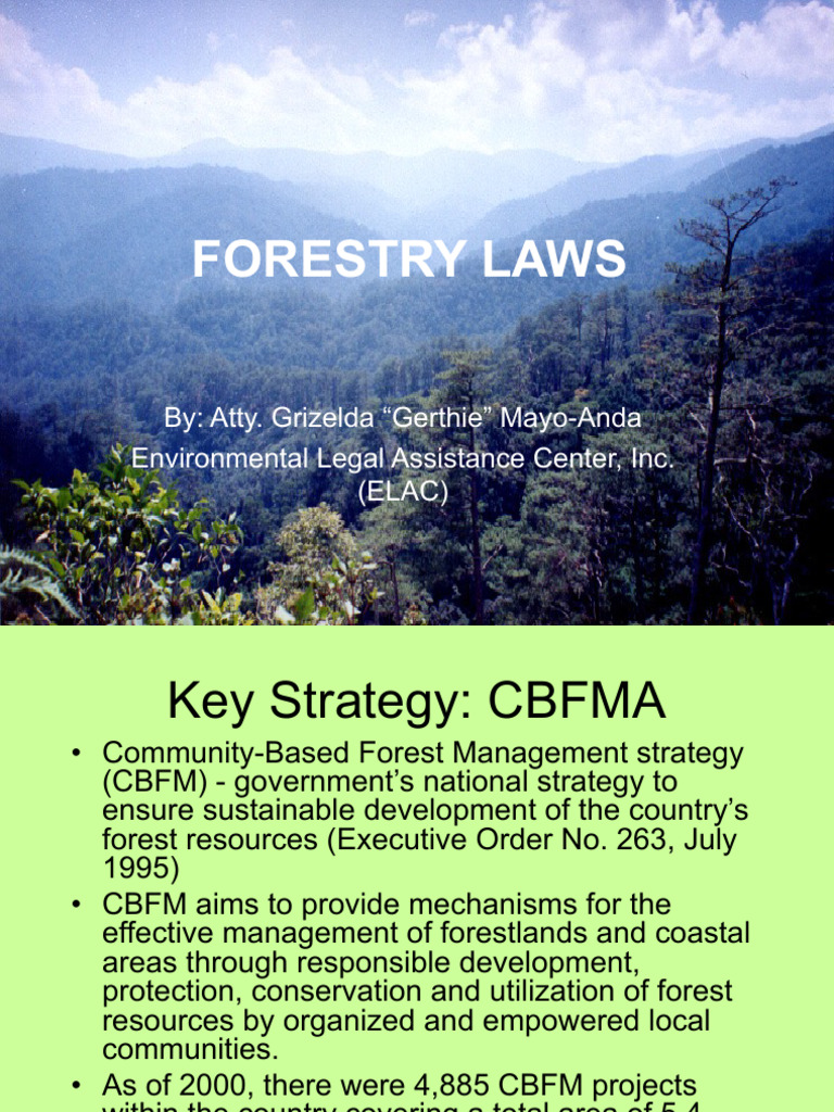 Foresty law | PDF | Logging | Fine (Penalty)