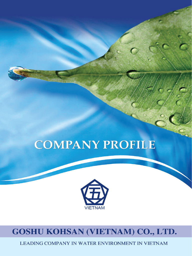 Company Profile 2024 - GKCV | PDF