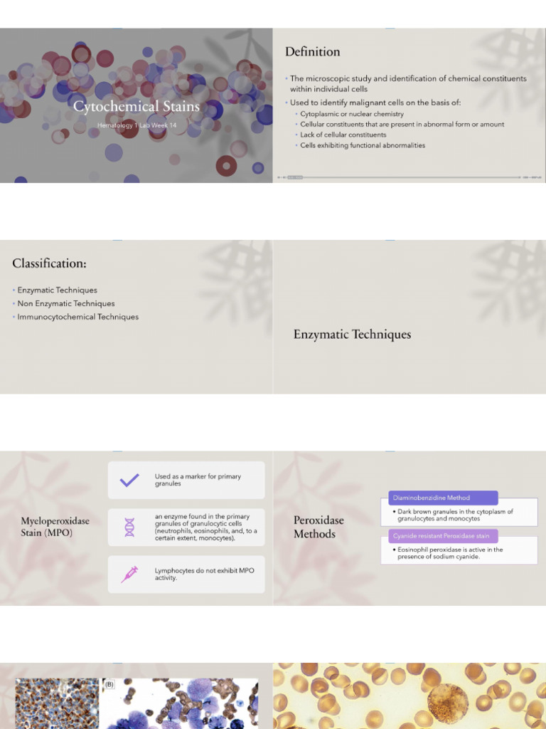 Cytochemical Stains 4 Slides Per Page | PDF