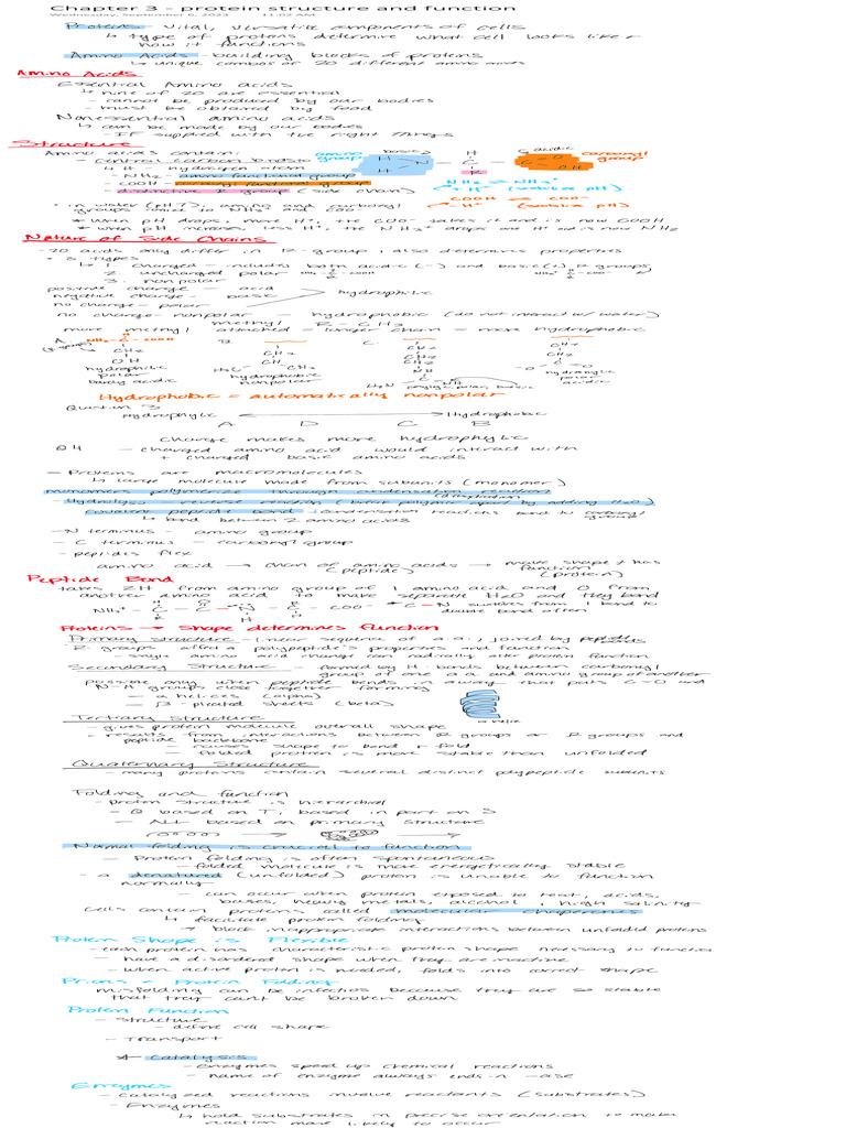 Chapter 3 - Protein Structure and Function | PDF