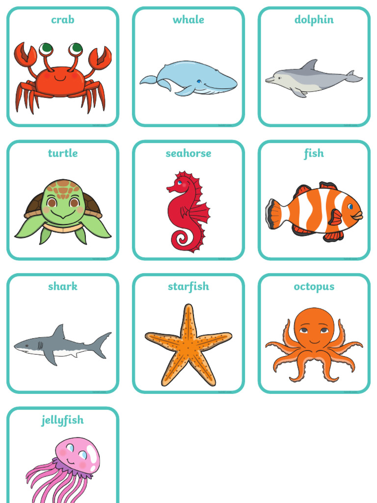 Under the Sea Literacy Resources | PDF