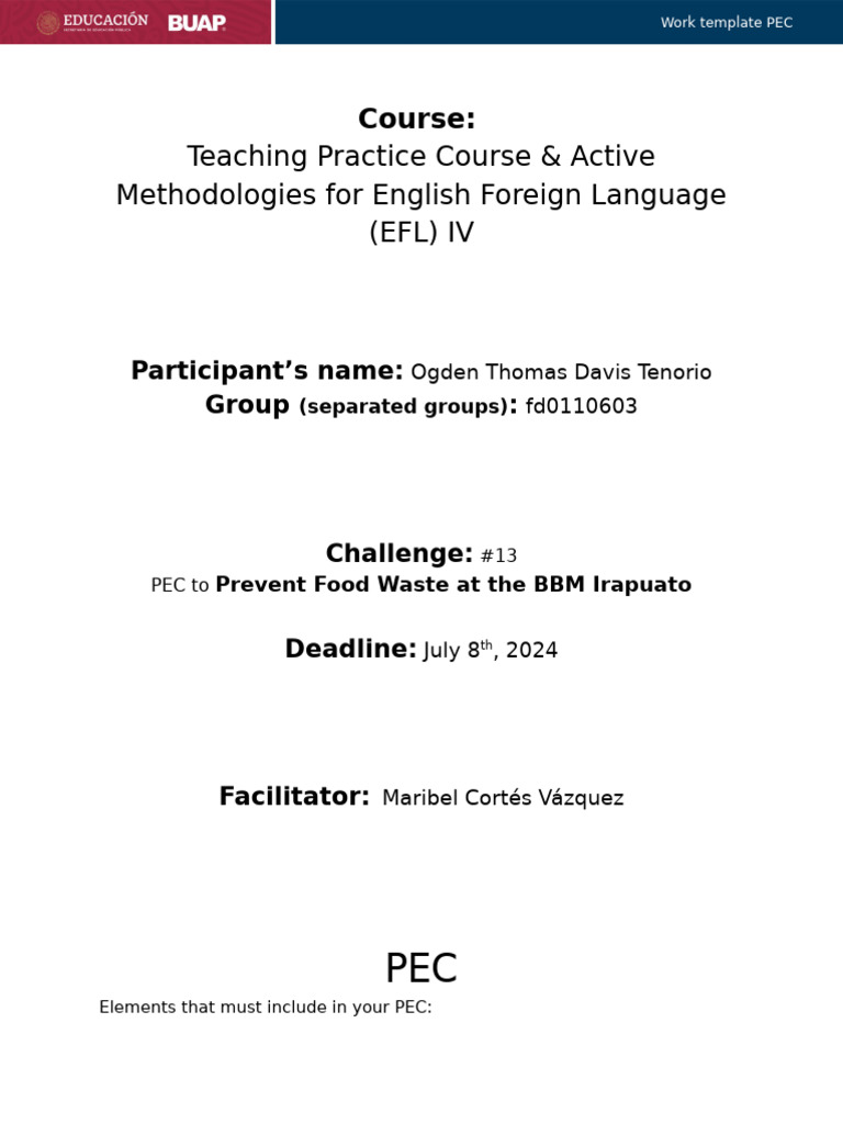C12 - R3 - Work-template-PEC - Tom Davis-Tenorio | PDF | Evaluation