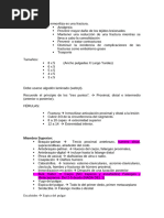 Cómo entablillar un dedo índice correctamente | PDF