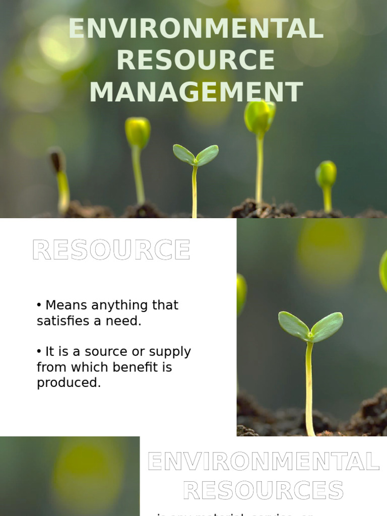 Managing Renewable Resources Sustainably | PDF | Renewable Resources ...