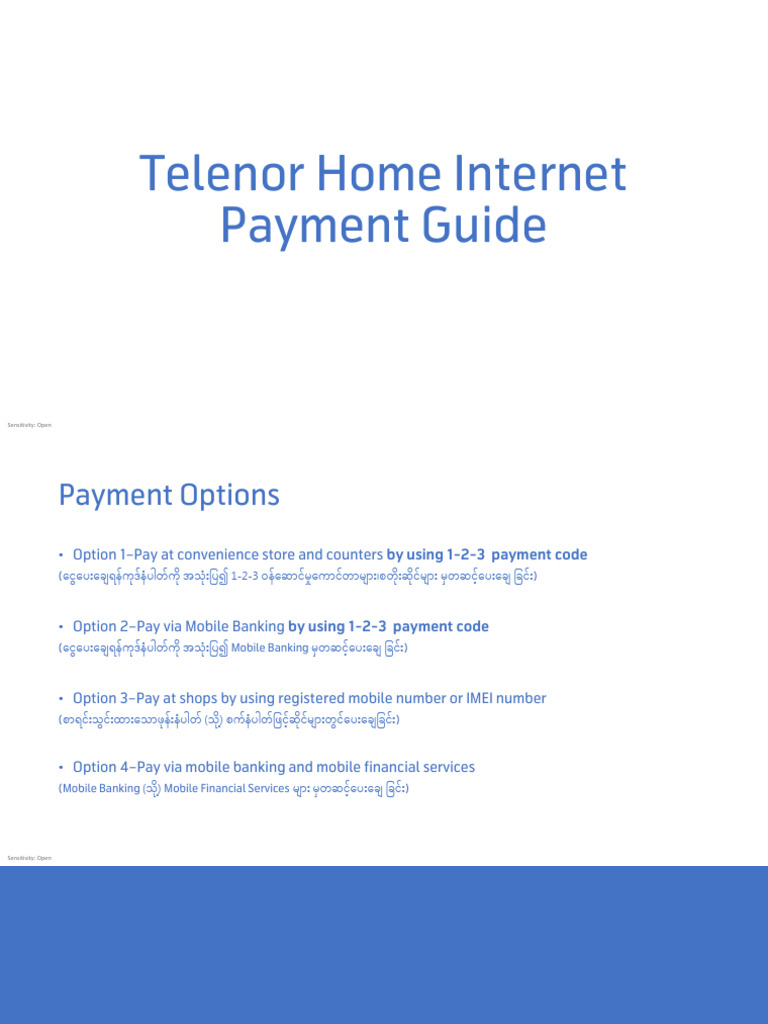 Telenor Payment Guide | PDF