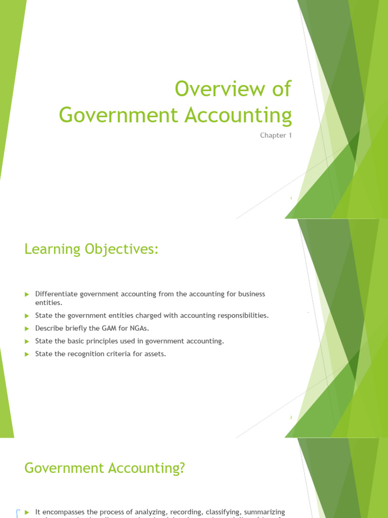 Chapter 1 Overview of Government Accounting 1 | PDF | Equity (Finance ...