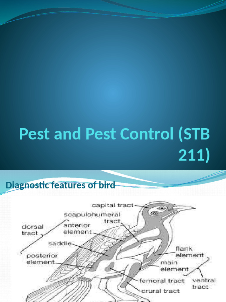 STB 211 by Mrs Ajao and Miss Onugha | PDF | Biological Pest Control | Pesticide