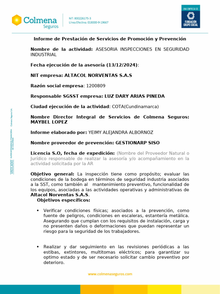 INFORME ALTACOL NORVENTAS | PDF